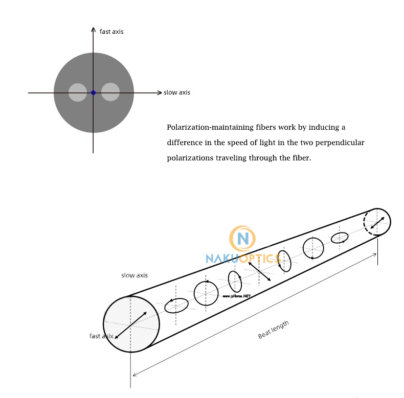 1550nm 2x2 PM Fiber Coupler PM Beam Splitter Slow Axis Alignment K Key ...